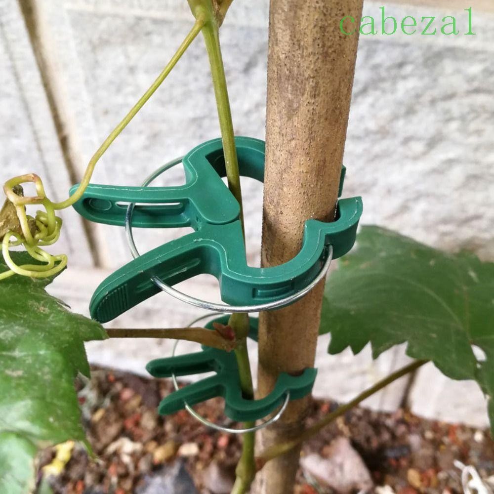 CABEZA 10pcs Garden Plant Clip, Plastic Reusable Plant Support Clips ...