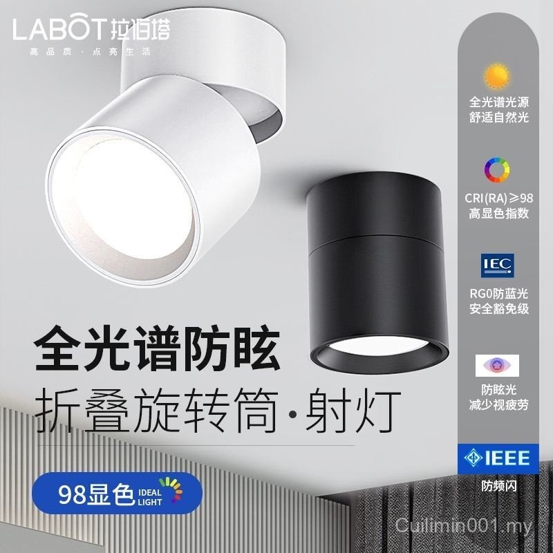 Full Spectrum Adjustable Angle led Downlight Spotlight Surface Mount ...