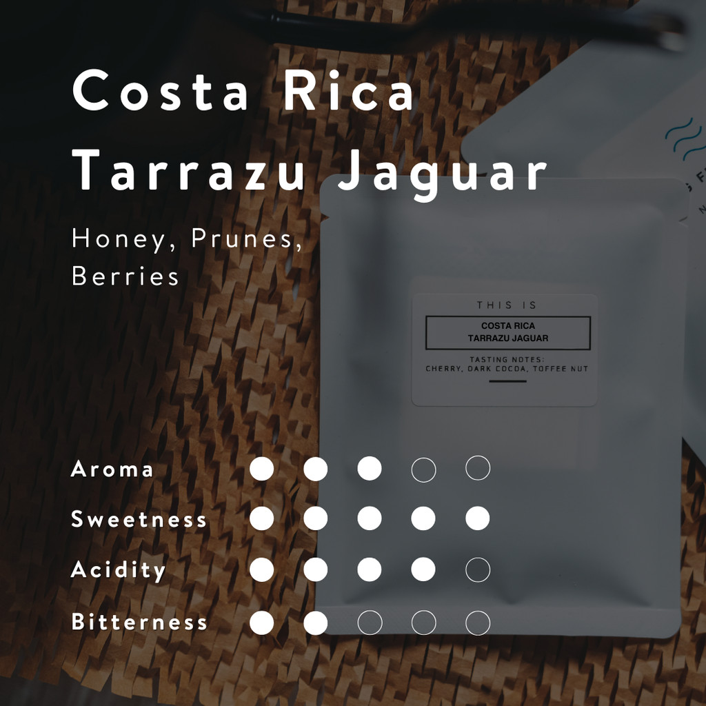 [Costa Rica Jaguar Tarrazu Honey] Drip Bag Coffee by Seafarer Coffee ...