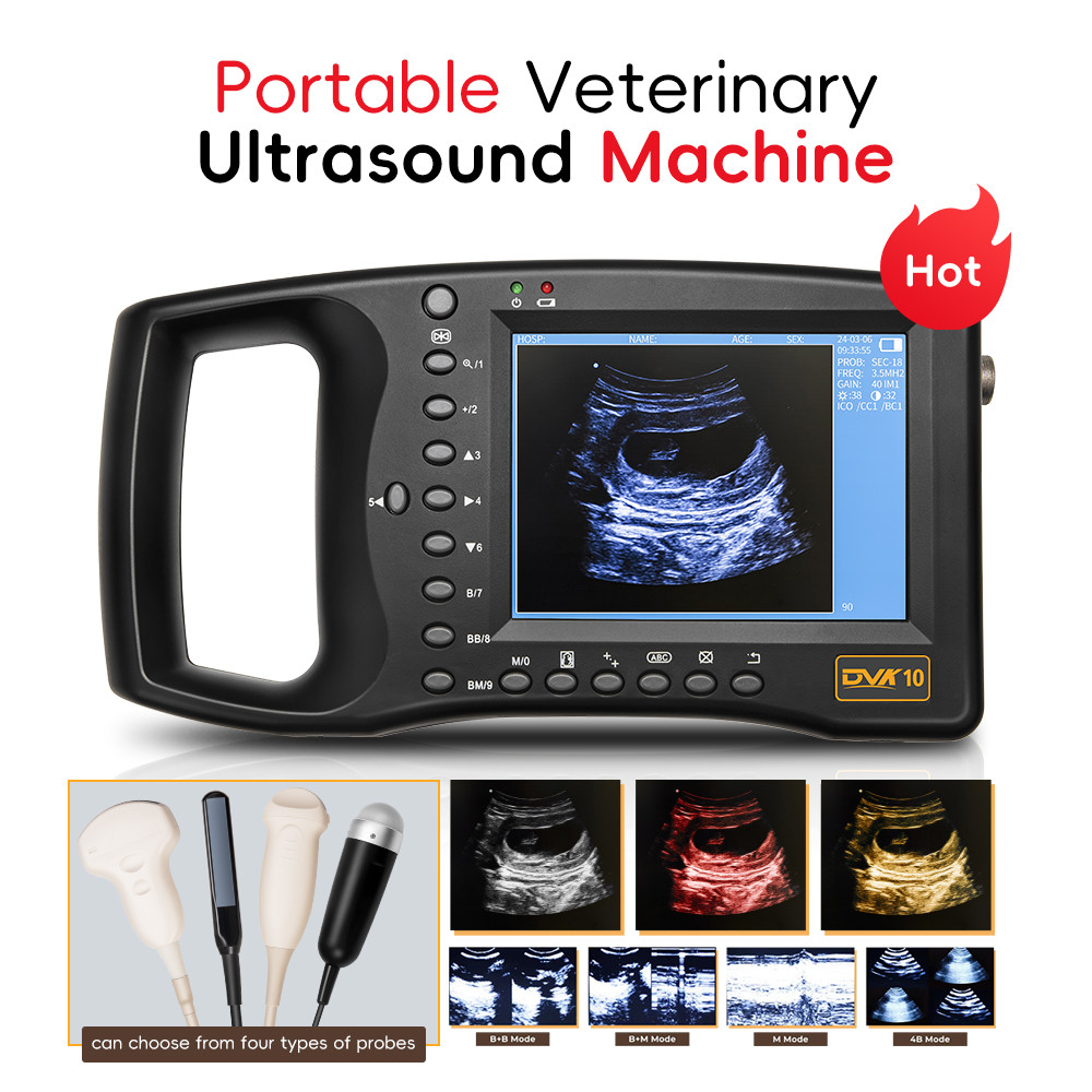 Handheld Ultrasound Machine for Pregnancy Horse & Cows and Other Large ...