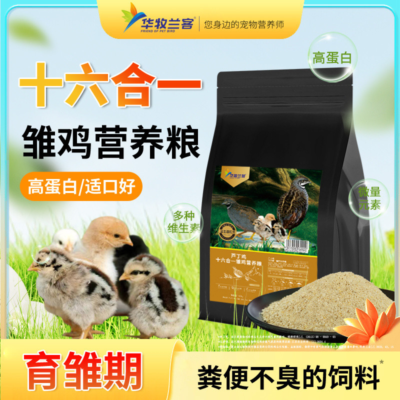 [2803 People Praise] Ludiced Chicken Feed Chick Open Feed High-Protein ...