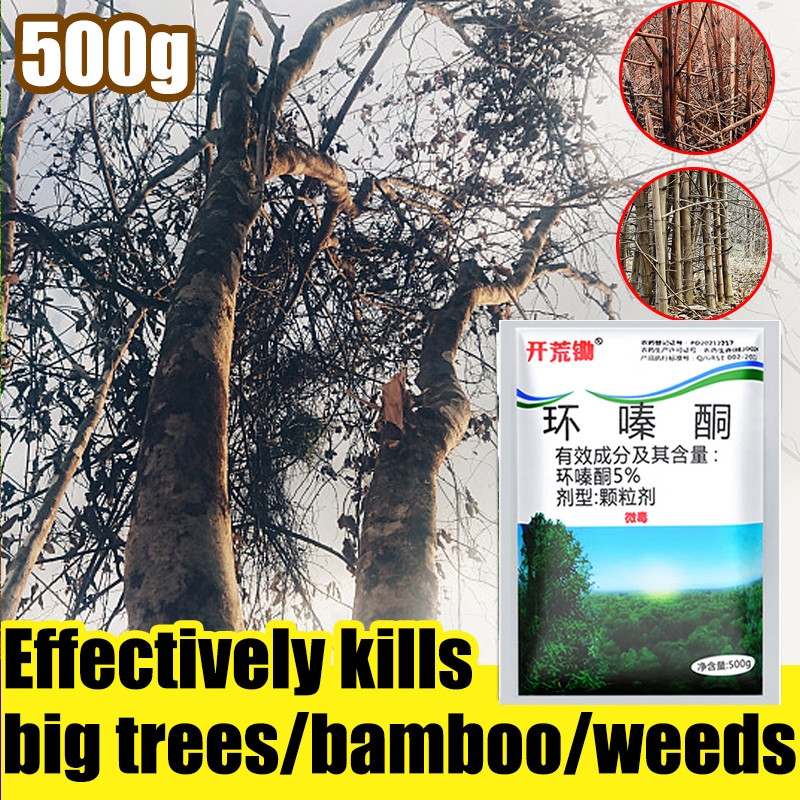 PP herbicide to kill tree 3 seconds to remove big trees kill tree and ...