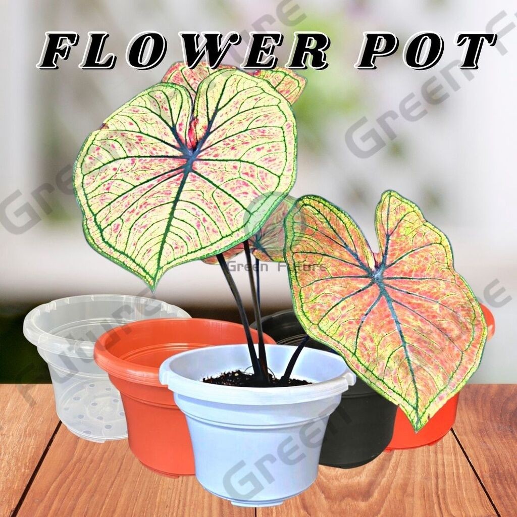 21CM OCTO HANGING PLASTIC FLOWER POT PASU BUNGA PLASTIK GARDEN ...