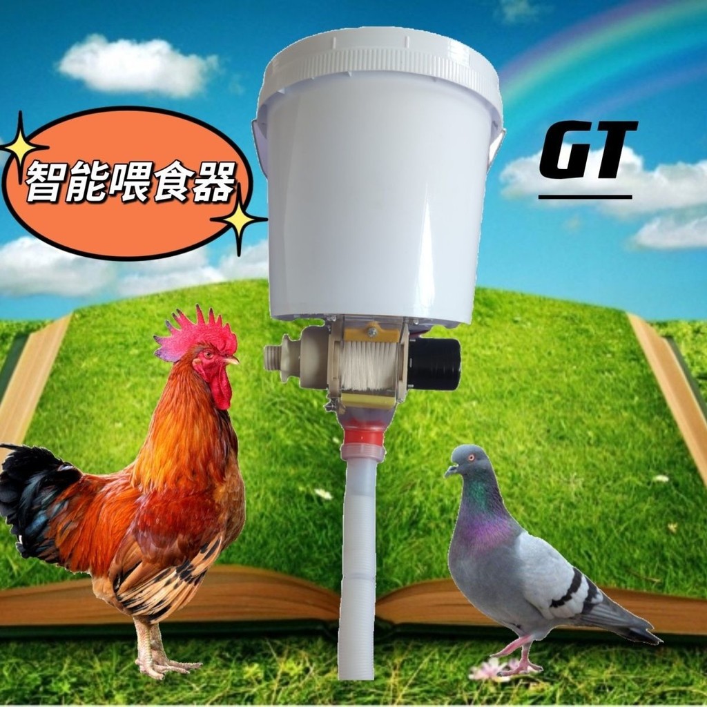 Chicken Automatic Chicken Feeding Chicken Feeder Duck Feeder Pigeon ...