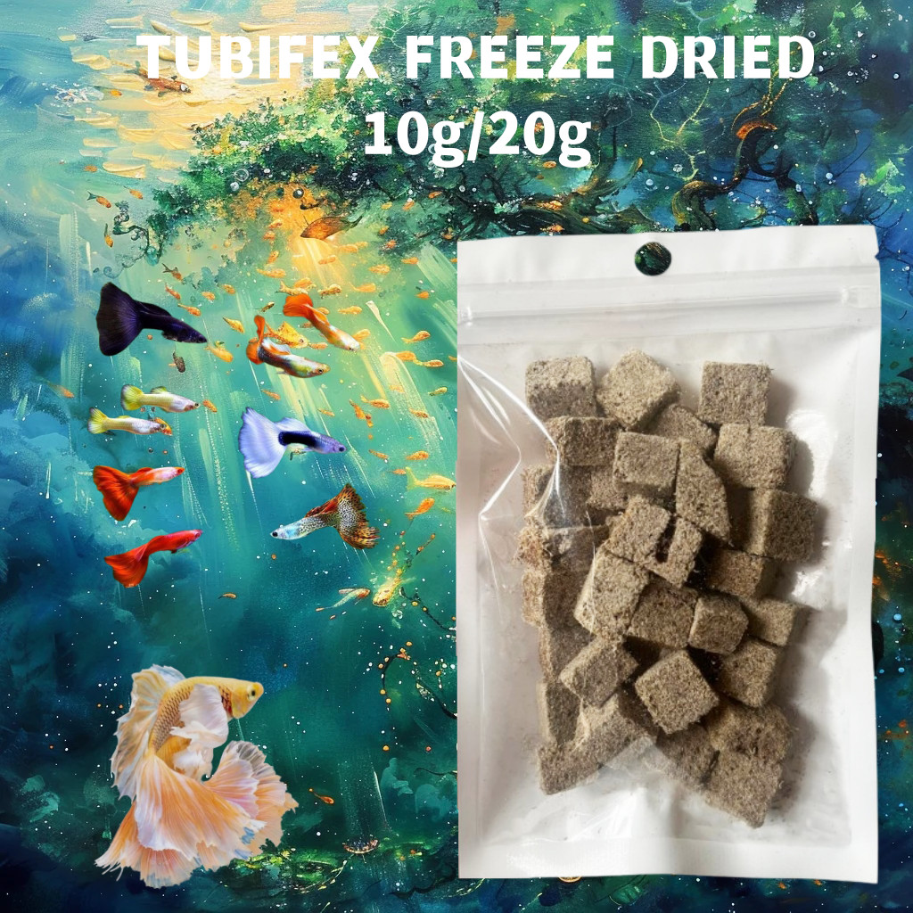 Freeze Dried Tubifex Worm ( 10 GRAMS,20 GRAMS ) Fish Food Turtles Food ...