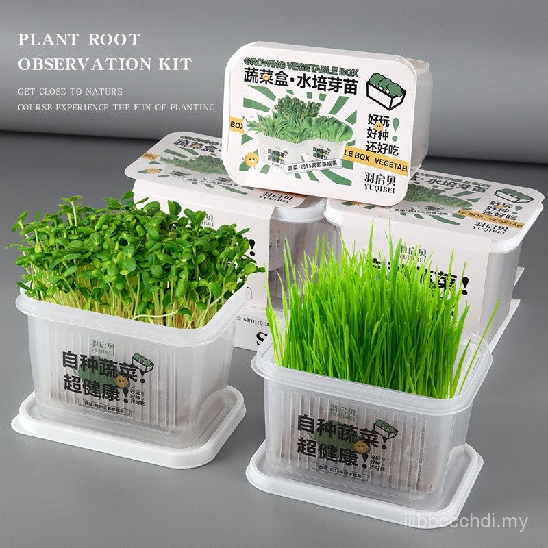 Children Planting Small Potted Plants Creative Mini Plants Hydroponic ...