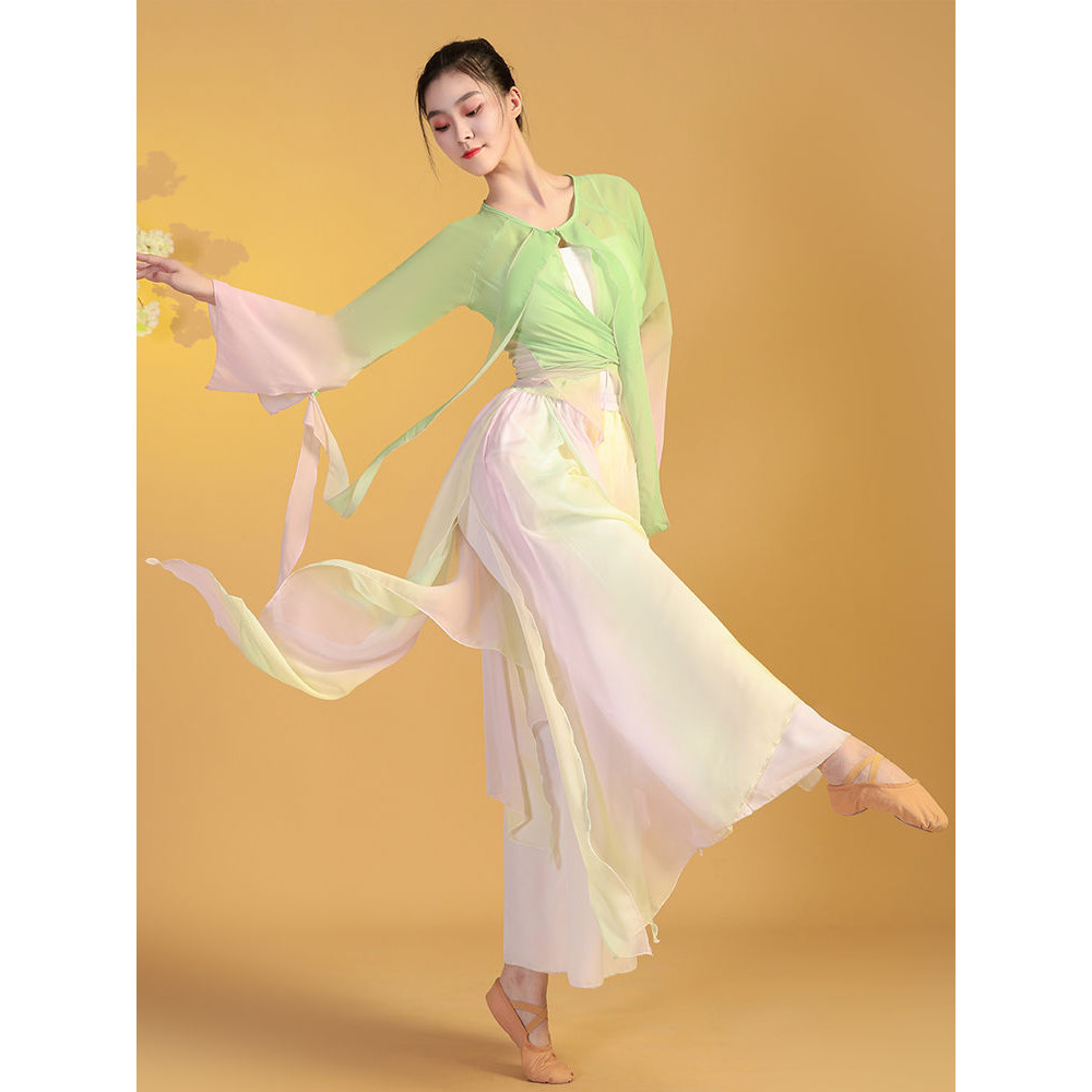 Classical Dance Costume Female Body Rhyme Elegant Gradient Chiffon ...