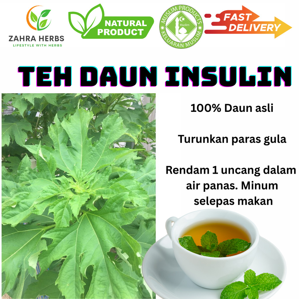 Zahra Herbs Teh Daun Insulin | Teh Penawar Kencing Manis Diabetes ...