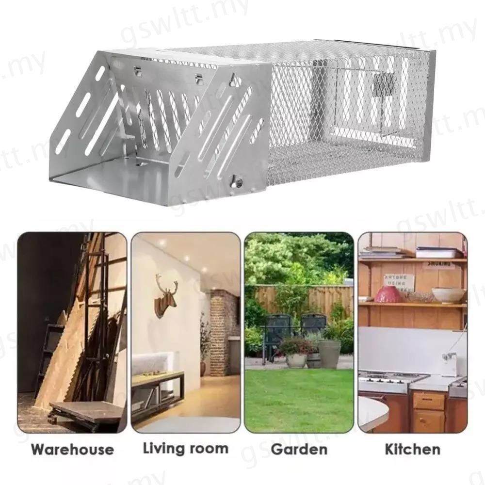 GSWLTT Mousetrap Bait Cage, Reusable Mice Rat Rodent Rat Trap ...
