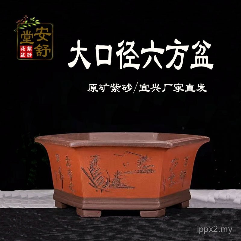 Periuk Bunga Yixing Zisha Periuk Bonsai Seramik Heksagon Bunga Lebih ...