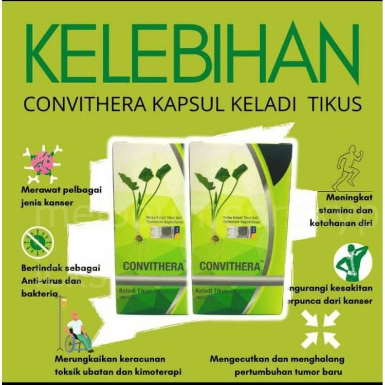 【buy 3 free 1】 Herba Keladi Tikus Original By Convithera ( HQ ) Ada ...