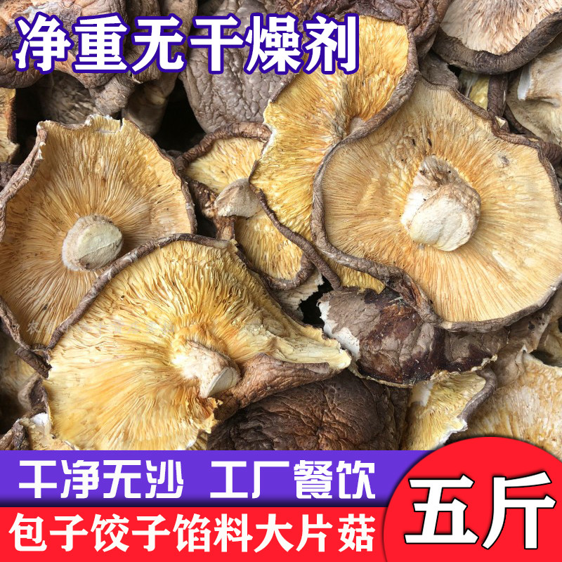 Cendawan shiitake kering, cendawan besar, serpihan cendawan besar tanpa ...