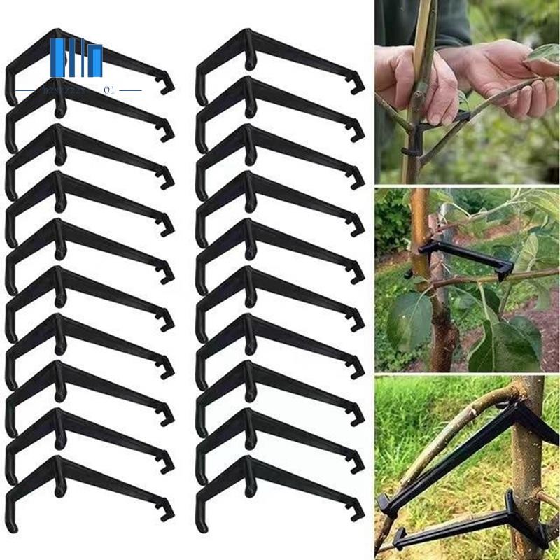 Fruit Tree Plastic Branch Separator Multifunctional Fruit Branch ...