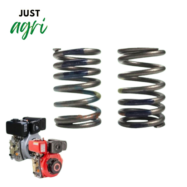 Valve Spring (PAIR) 186F 10hp 186FA 12hp 188F 14hp 190F 16hp 192F 18hp ...