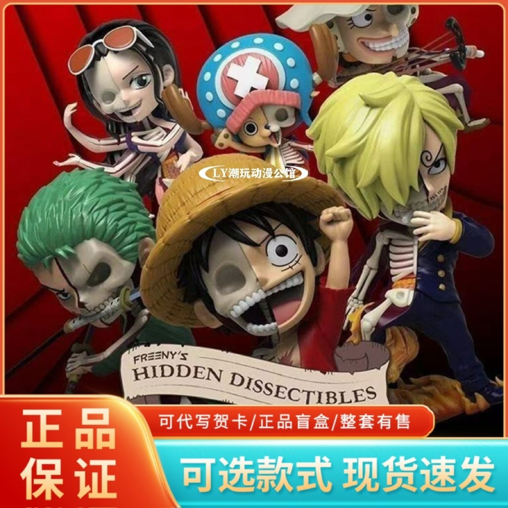 Birthday Gift Male Genuine Skeleton Yamae Hand-Made Anatomy Mystery Box ...