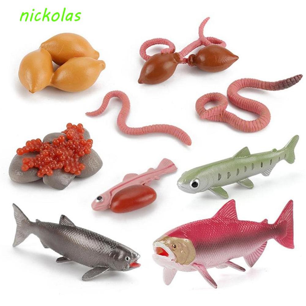 NICKOLAS Realistic Life Cycle Collect Sea Life Earthworm King Crab ...