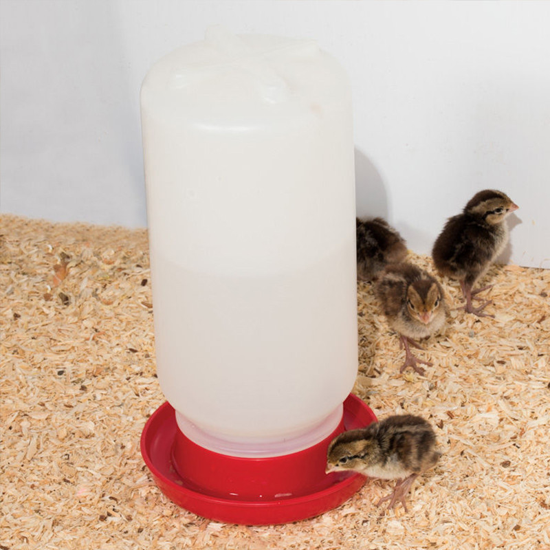 1PCS Poultry Water Feeder Automatic Chicken Birds Chick Waterer Feeding ...