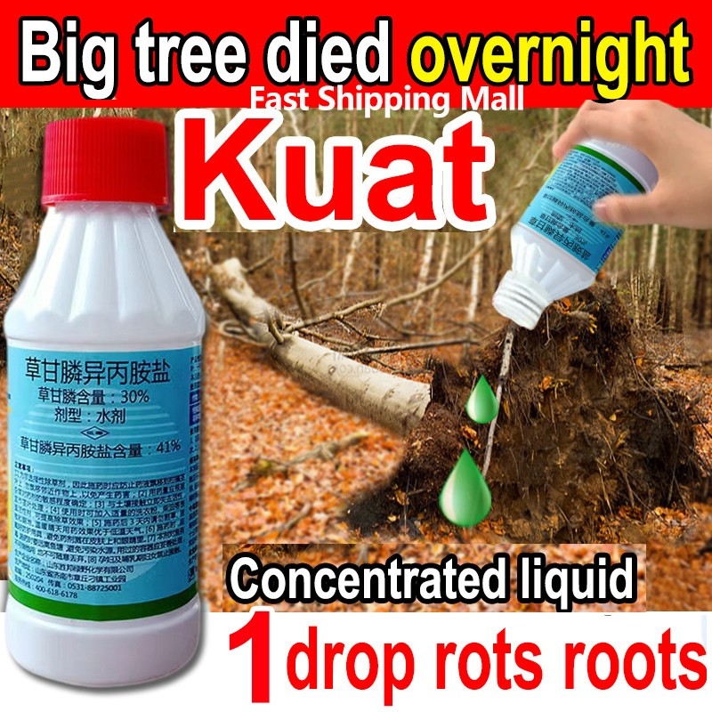 1 drop kills 100 trees racun pokok besar 1000ML Concentrated formula racun pokok kayu besar tree ...