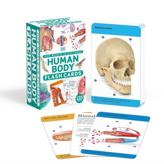 [English - 100% Original] - Our World in Pictures Human Body Flash ...