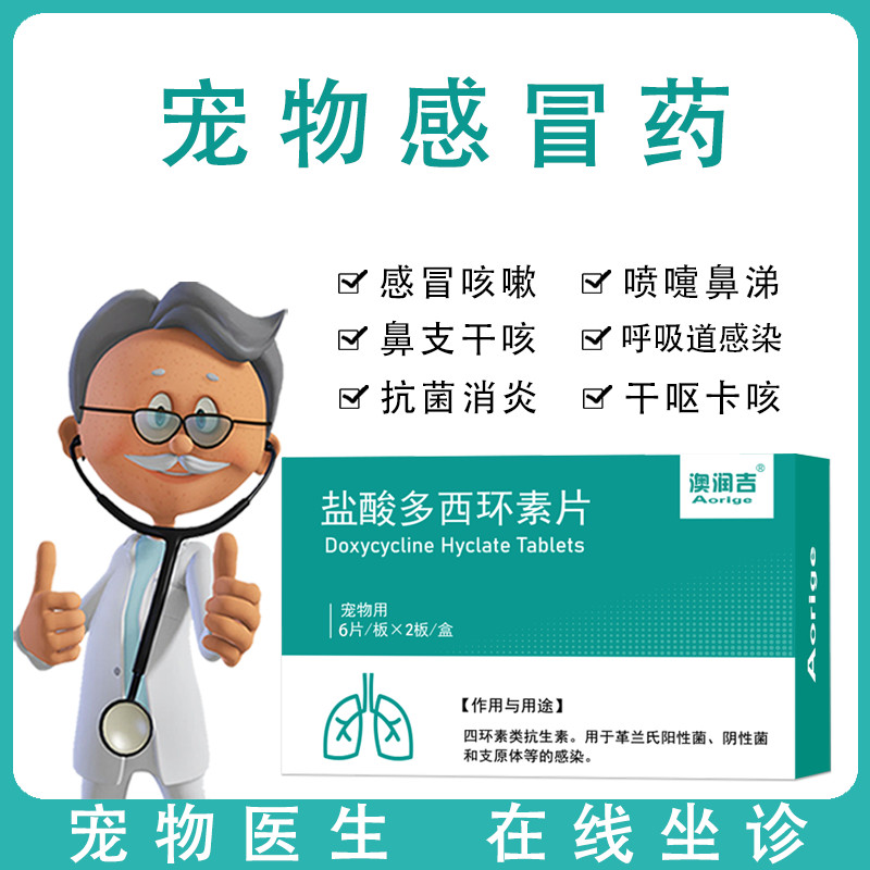 Hydrochloric Acid Circular Tablets Pets Cats Dogs Dedicated Asthma Cold ...