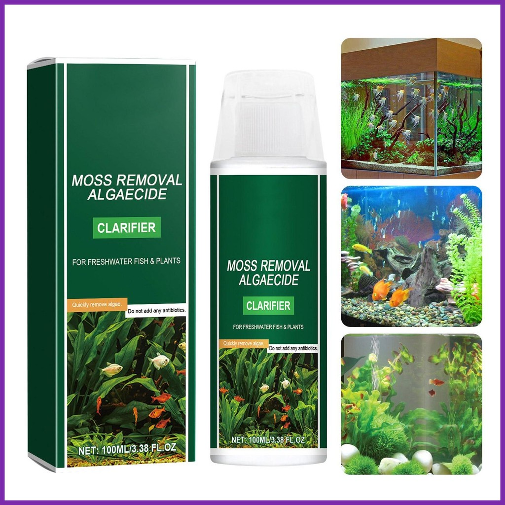 Algaecide for Fish Tank Fountain Maintenance Cleaner Outdoor Indoor ...