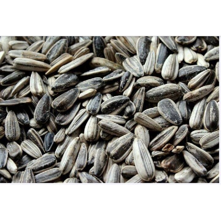 [ROASTED] PREMIUM KUACI BUNGA MATAHARI 500G READY TO EAT SUNFLOWER ...