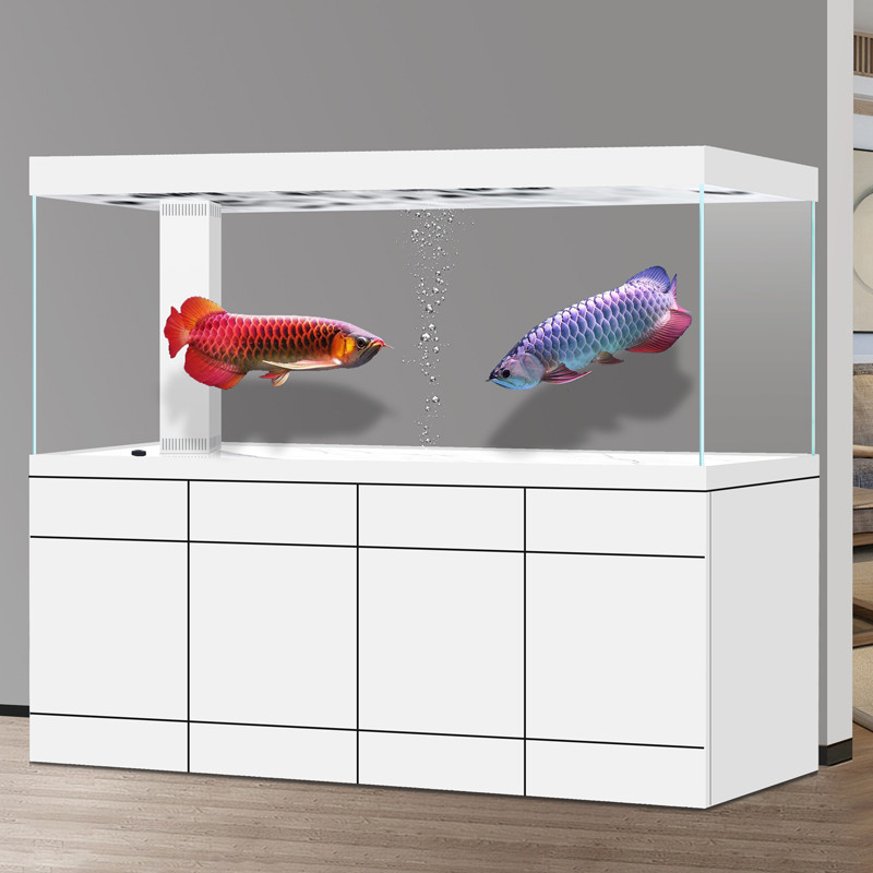 Tangki Ikan Naga Aloi Aluminium Tertinggi Ruang Tamu Akuarium Besar ...