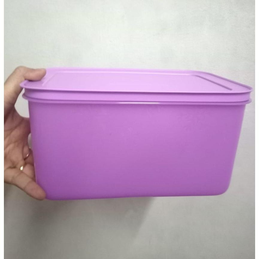 Tupperware Chill Freeze Set 450ml / 1.1L /170ml (1/2/4pcs) | Shopee ...