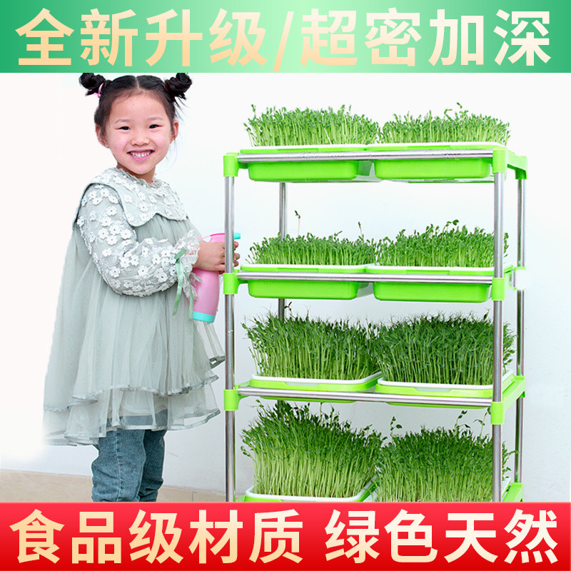 [12,000 People Praise] Sprouts Hydroponic Seedling Plate Balcony ...