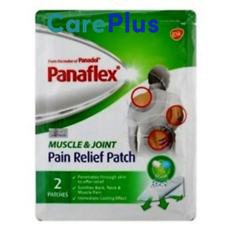 PANAFLEX PAIN RELIEF PATCH 2 PATCHES (EXP:01/2026) | Shopee Malaysia