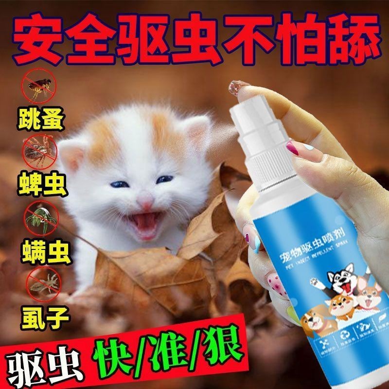 Cat Insect Repellent Kitten Body Insecticide Kitten Outer Insect ...