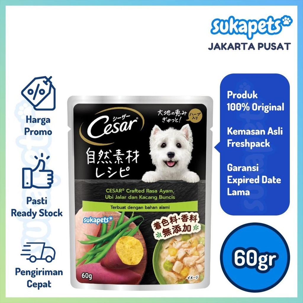 Cesar Pouch Chicken Flavor Sweet Potato Beans Wet Dog Food 60gr ...