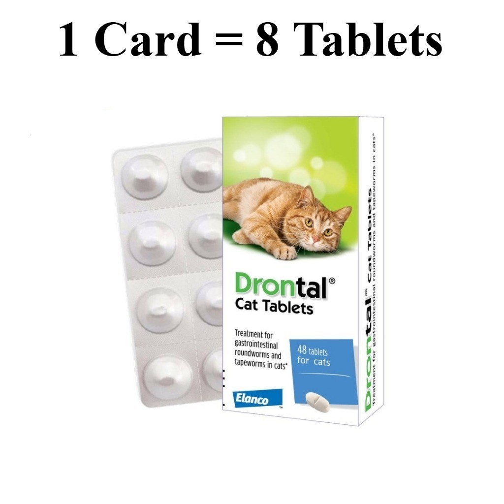 Bayer Drontal Cat Deworming Tablet (8 Tablets) | Shopee Malaysia