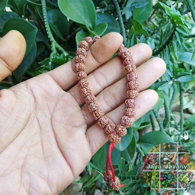 Original SMALL GENITRI GANITRI RUDRAKSHA BRACELET Jaya_Jayanya | Shopee ...