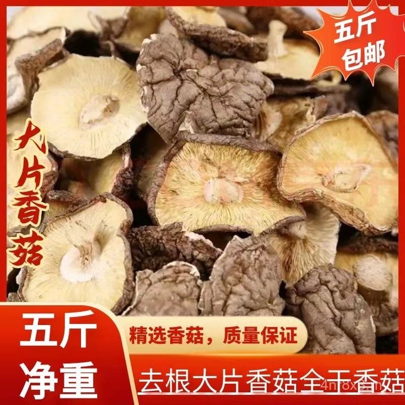 Cendawan besar lima ekor cendawan shiitake kering khas percuma ...