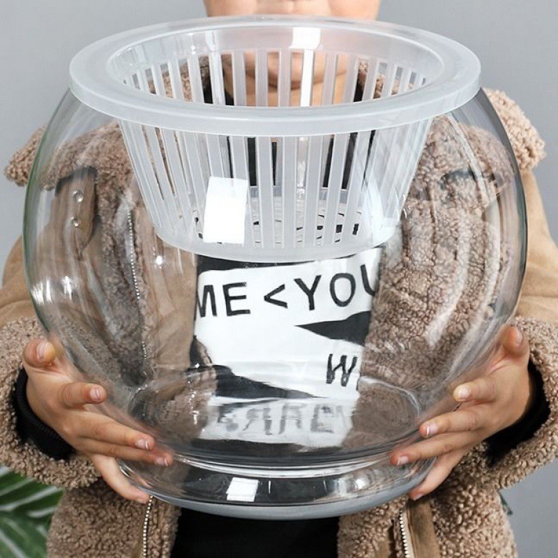 Pasu bunga air botol kaca tumbuh-tumbuhan hidroponik yang sangat besar ...