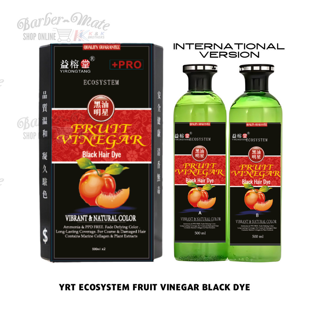 [INTERNATIONAL VERSION] ECOSYSTEM FRUIT VINEGAR HAIR DYE BLACK COLOUR ...