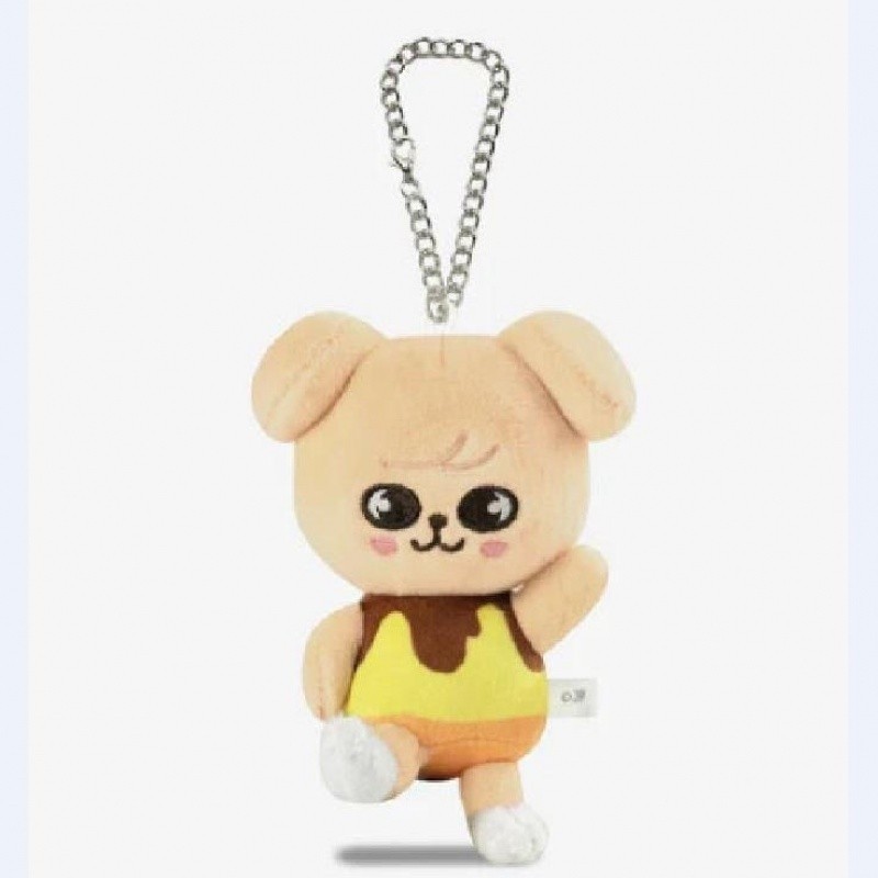 Stray kids Doll Plush Toy stray kids Plush Doll Keychain Pendant Bruce ...