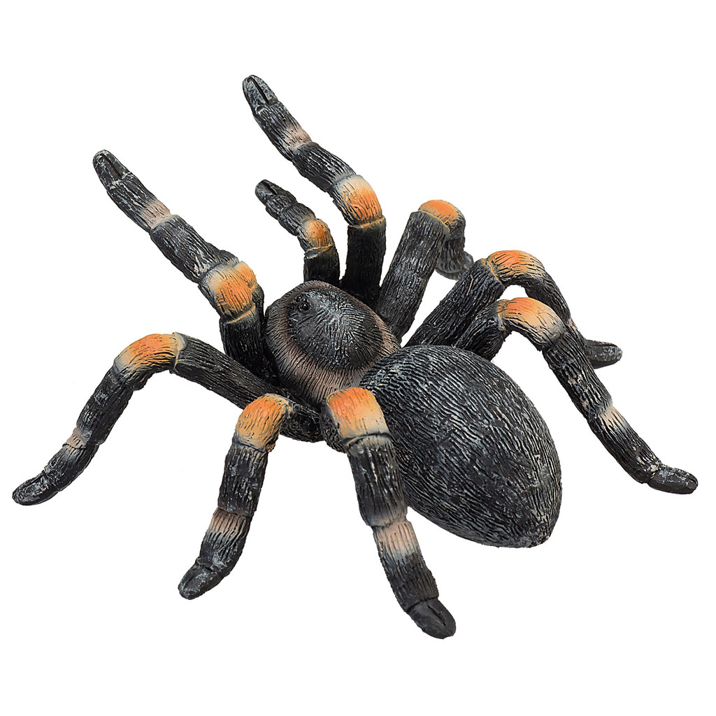 Mojo 387213 RED KNEED TARANTULA Wild zoo animals play model figure toys ...