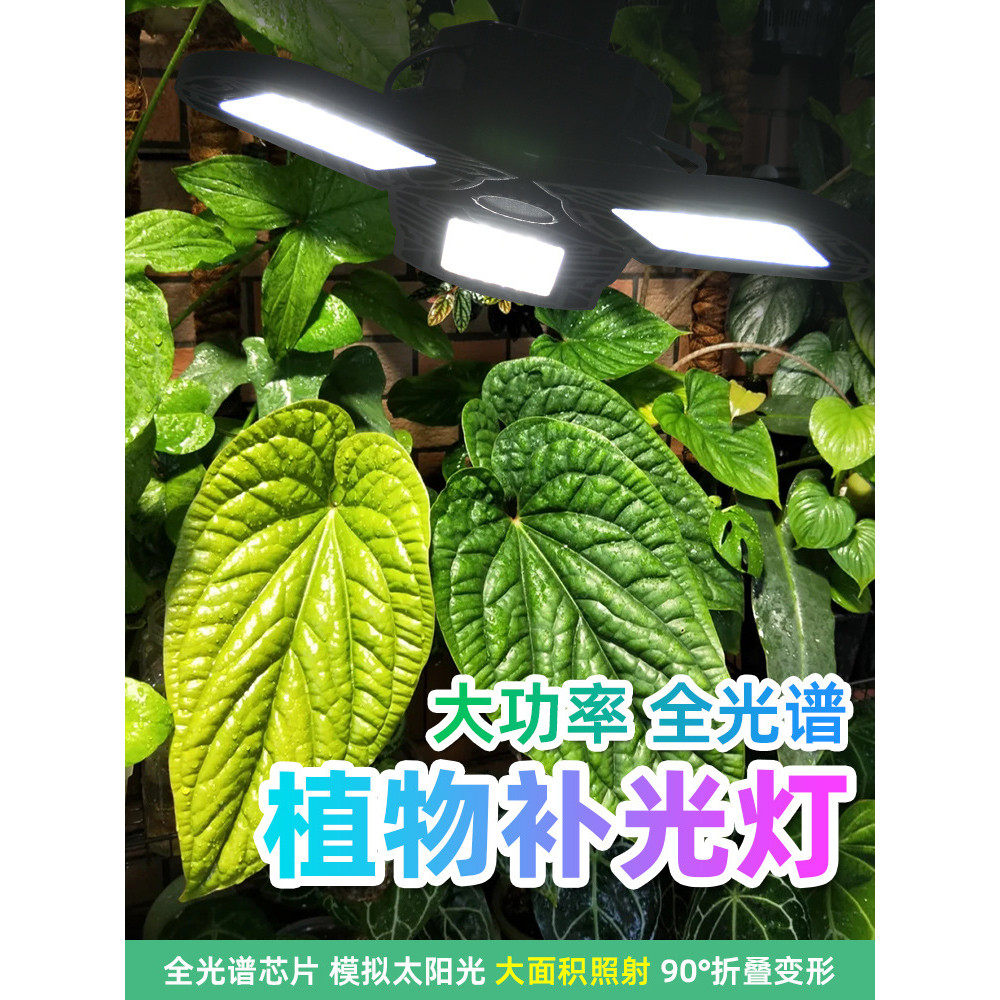 Full Spectrum led Plant Fill Light Heat Plant Tortoise Back Bamboo ...