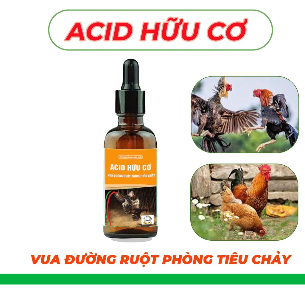 Organic Acid 50ml, king of intestinal diseases, helps balance ...