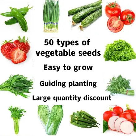 [Fast Growing]Vegetable Seeds For 50 Varieties Of Vegetables For Year ...