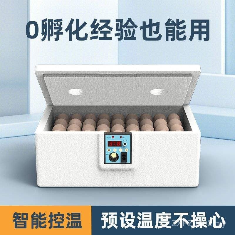 Equipment Farm Luding Chicken Fully Automatic Mini Box Water Bed ...