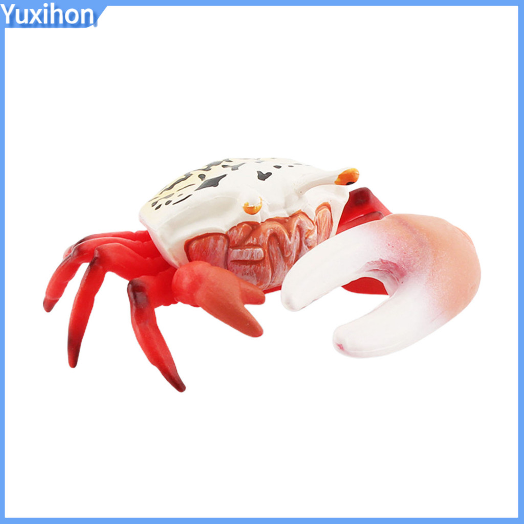 Yuxihon| Crab Figurine Simulated Fiddler Crab Sally Crabs Miniature ...