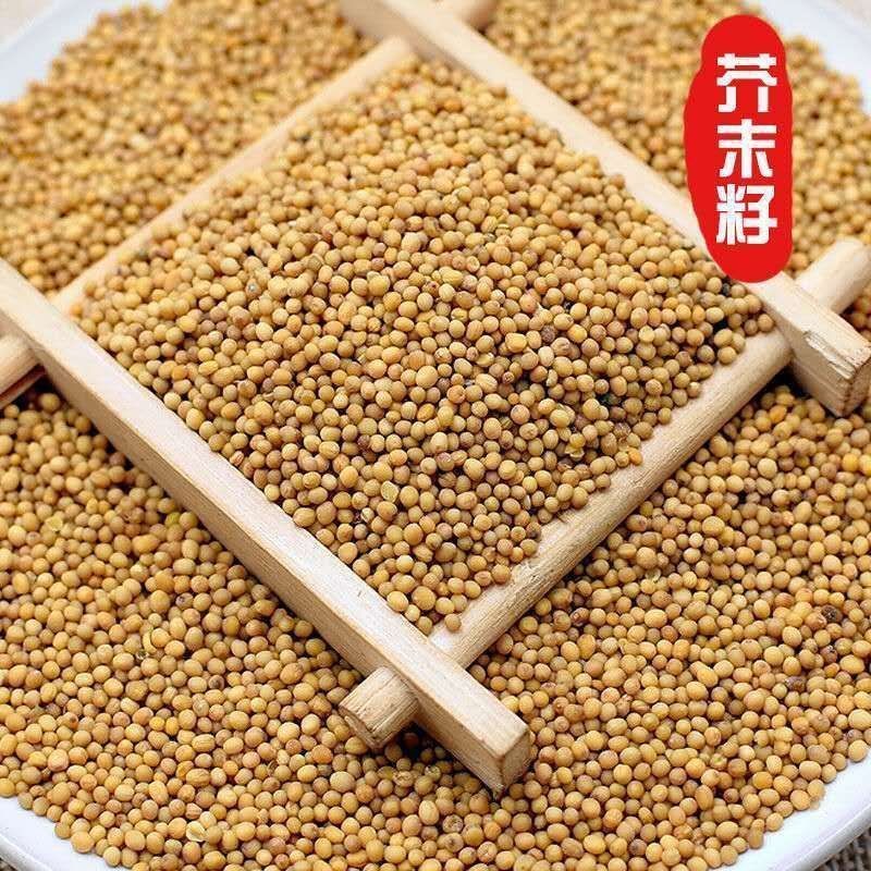 Biji Sawi Kuning Baharu Biji Sawi Kuning Serbuk Biji Sawi Kuning ...