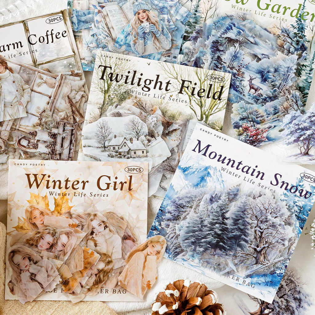 Cdaily|Winter Life Sticker Pack Winter Theme Stickers Handbook DIY ...