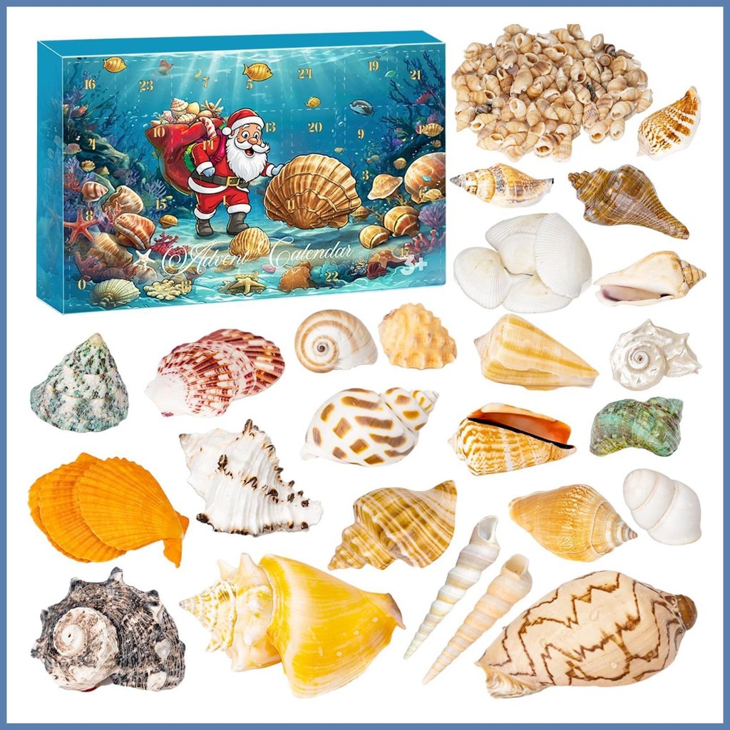Holiday Advent Calendar 2024 Christmas Craft Shell Ornaments Decorative ...
