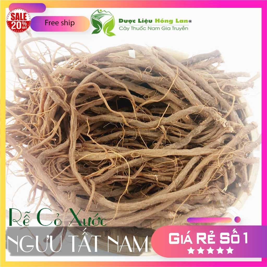 500g dried Niu Tat Nam (Grass Root) type 1 - Herbal Tea Shop | Shopee ...