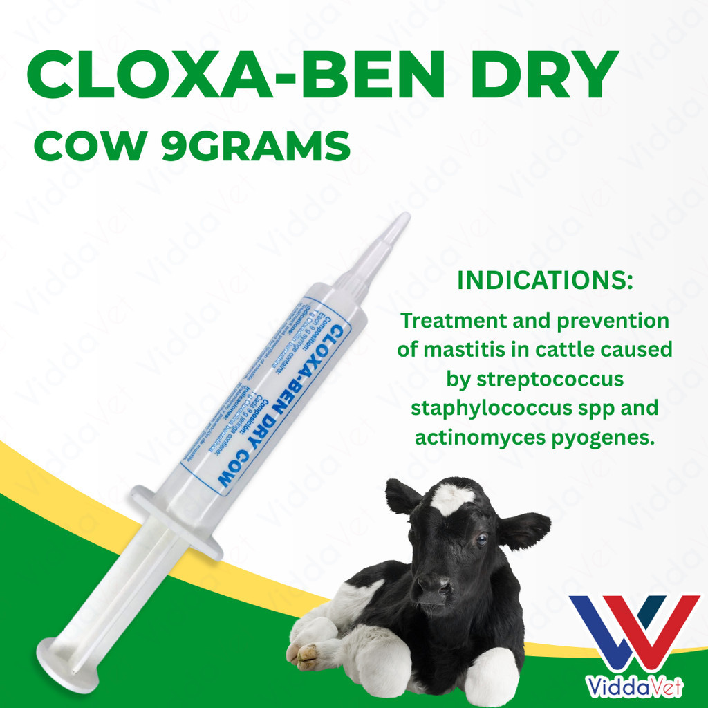 CLOXABEN 9g Dry Cow Fast Acting Mastitis Prevention for Cows Cloxaben ...