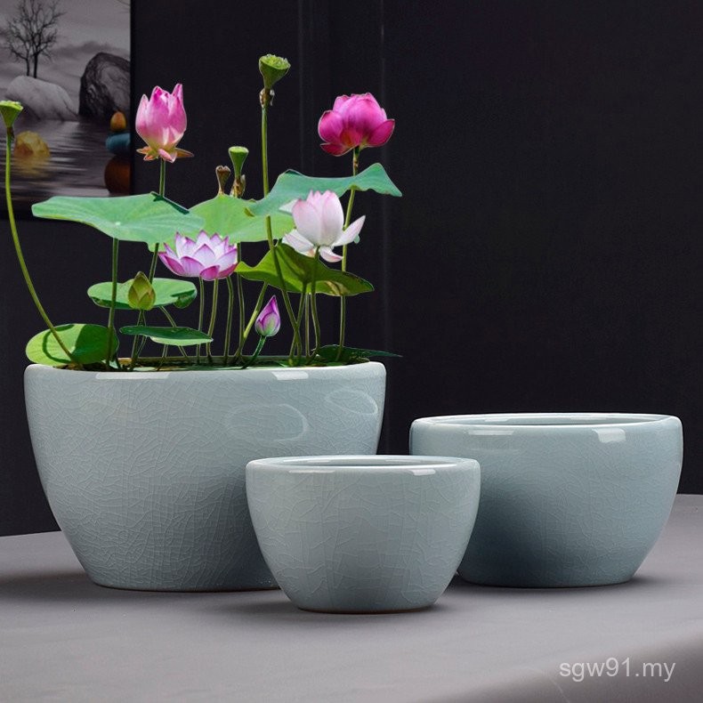 Mangkuk Teratai Air Tangki Periuk Teratai Seramik Khas Tumbuhan Besar ...